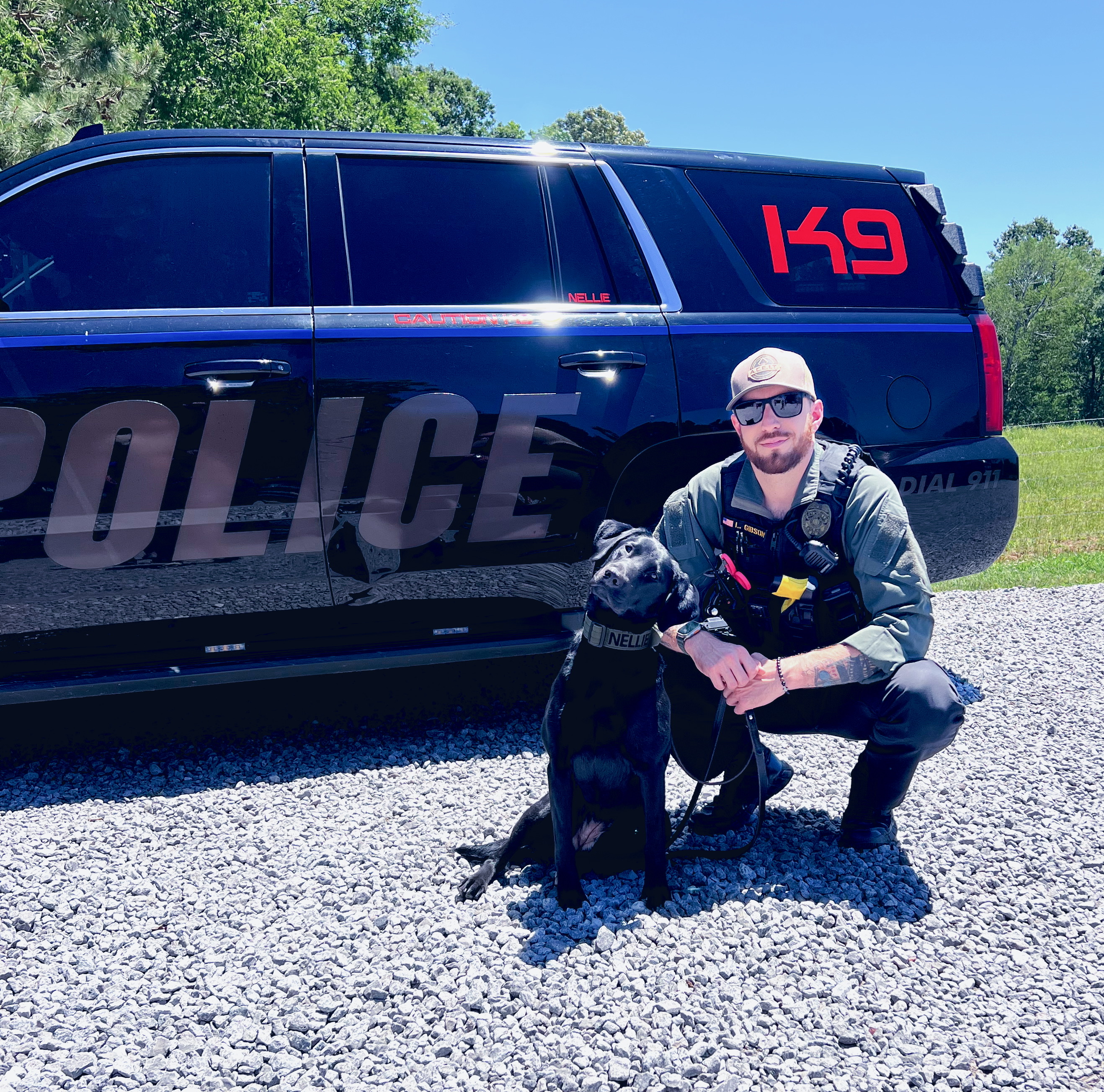 Police Department | Falkville, AL